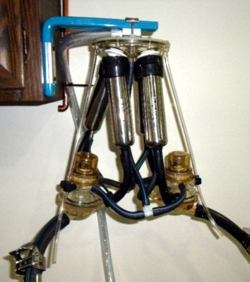 NuPulse Claw Washer for 1 or 2 Goat Milkers - Hamby Dairy Supply