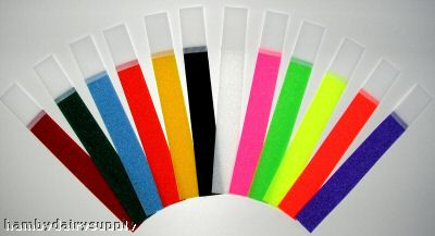 Purple Leg Bands - Velcro Style - Hamby Dairy Supply