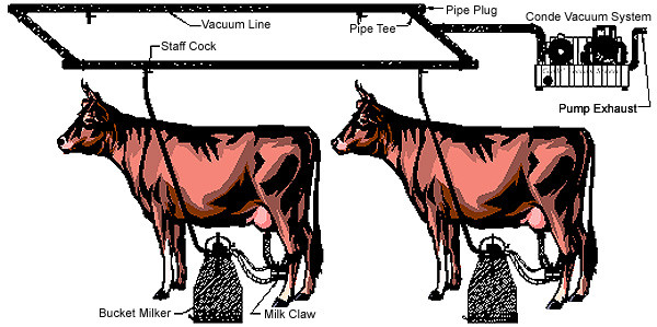 2 HP Vacuum System for small pipeline or bucket milking - Hamby Dairy ...