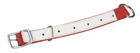 Blue Nylon collar sheep/goat 23 inches - Hamby Dairy Supply