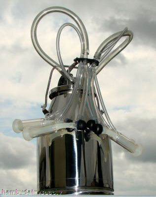 4 Sheep ITP Complete Bucket Milker HD portable vacuum system - Hamby ...