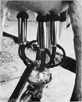 Mini Orbit Milking Unit with shutoff - complete - 9/32 air divider ...