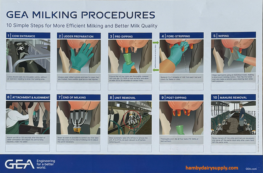 10 Steps - Milking Procedures Laminated Poster by GEA - English - Hamby ...
