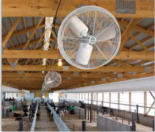 Barnstormer Fan 36 inch 208-230/460 3 phase - Hamby Dairy Supply