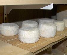 Fresh Goat Cheese Making Kit - Hamby Dairy Supply