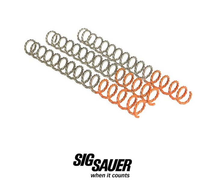 SIG SAUER RECOIL SPRING SET - P226 9MM - DIVISION KOGUL
