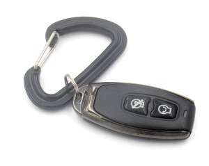 Champion Replacement Remote Fob | Power Equipment Forum