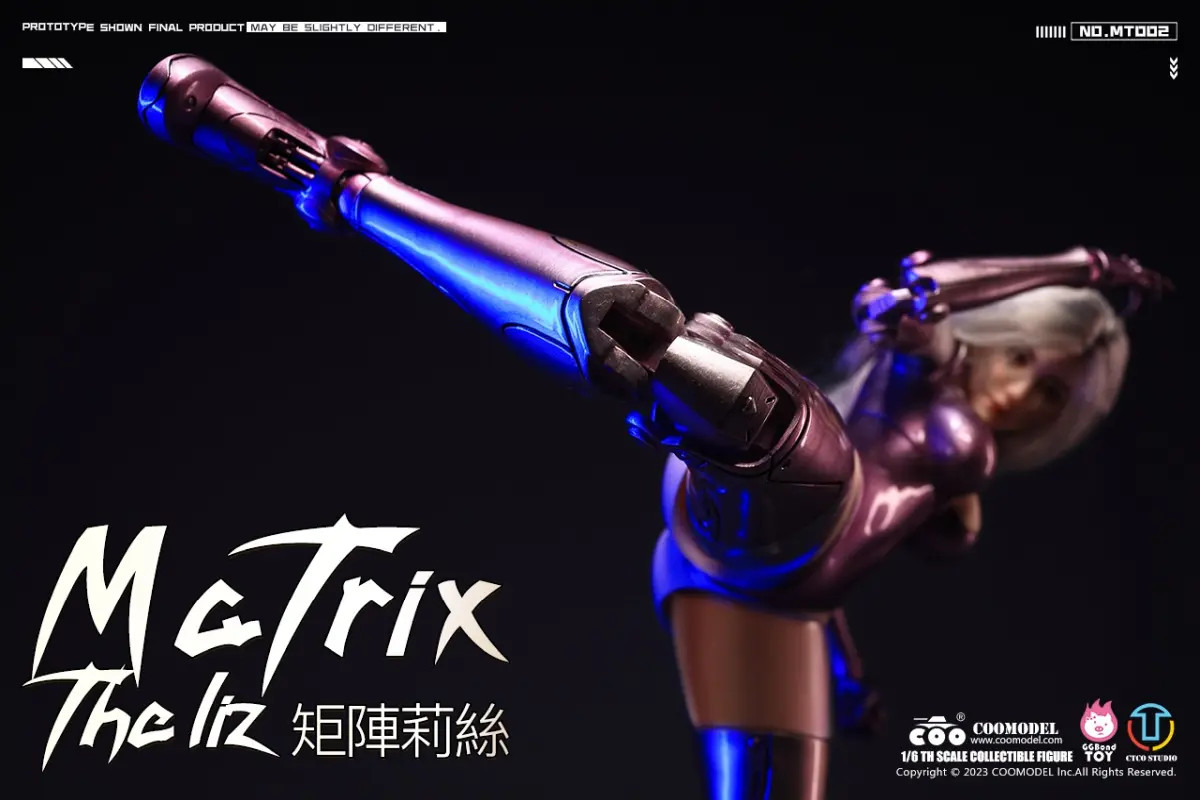 COOModel Matrix Liz Personalized Battle Angel MT002