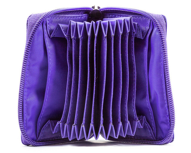 Ultra-Thin 11-pocket Polka Accordian Card Case - Big Skinny