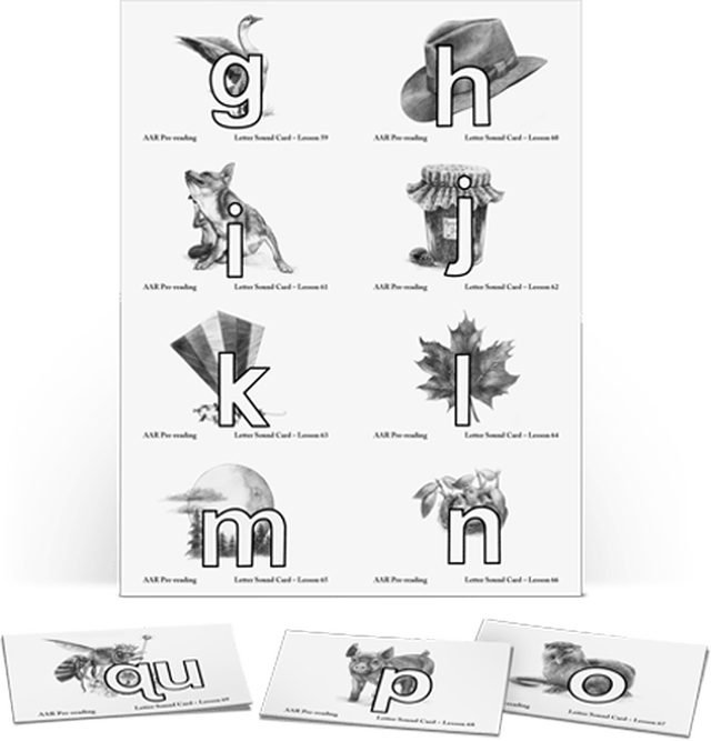 Pre-reading Flashcards Only - All About Learning Press, Inc.