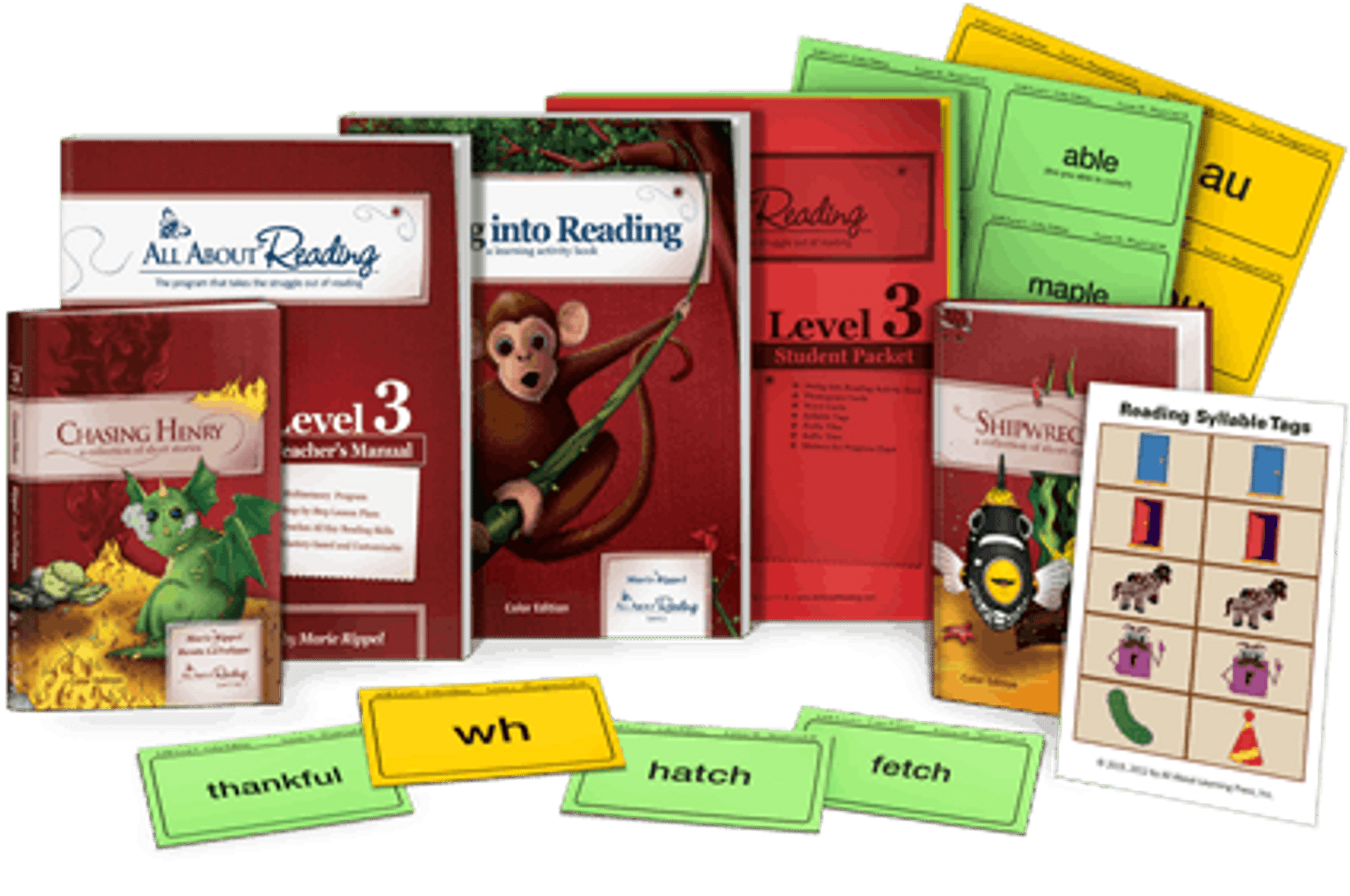 All About Reading Level 3