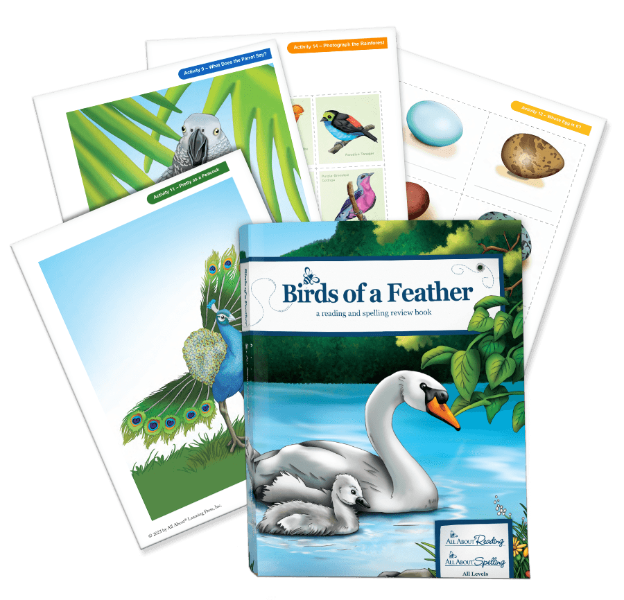 All About Reading Level 4