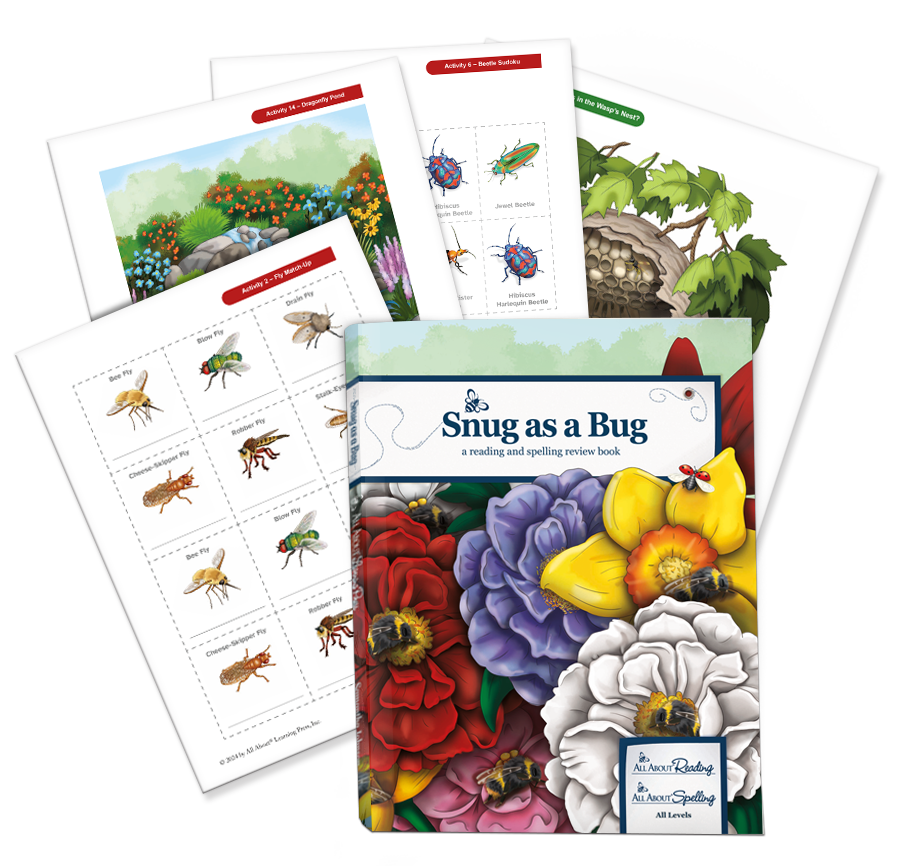 All About Reading Level 4