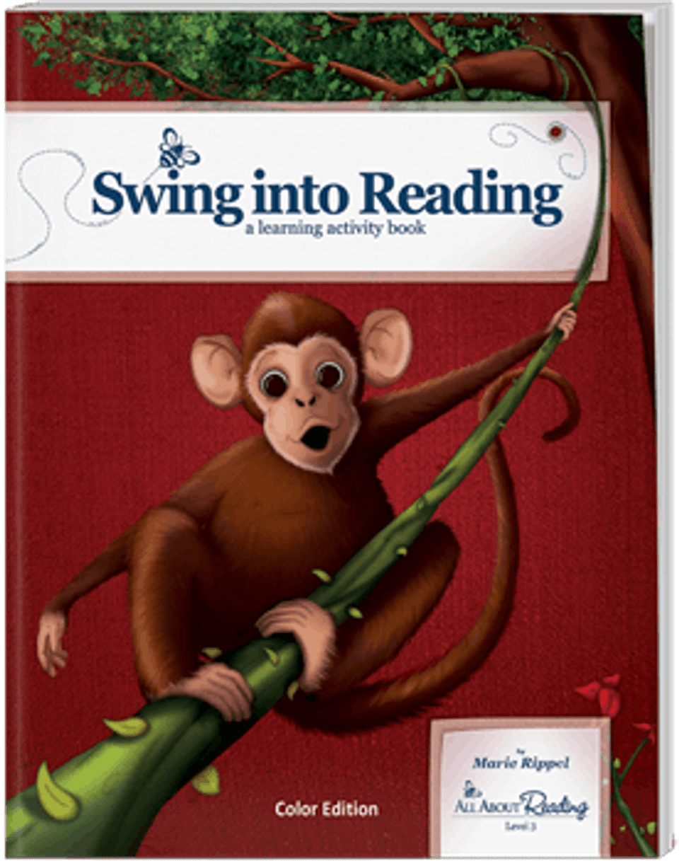 All About Reading Level 3 all-about-reading-level-3