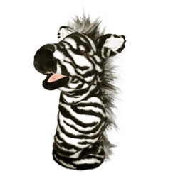 Reading Readiness Assessment