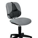 Professional Tri Lumbar support - OOScare Ergonomics