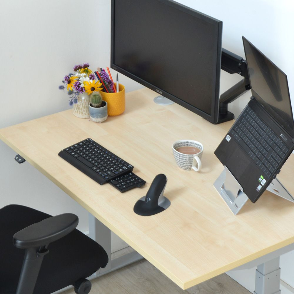 Penguin V2 Mouse 3 in 1 Small - OOScare Ergonomics
