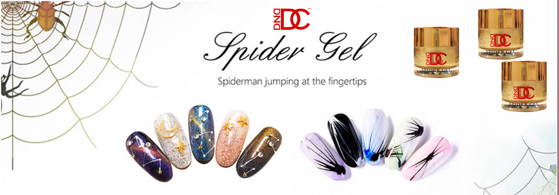 Trans Design Nail Supplies Transdesign.com