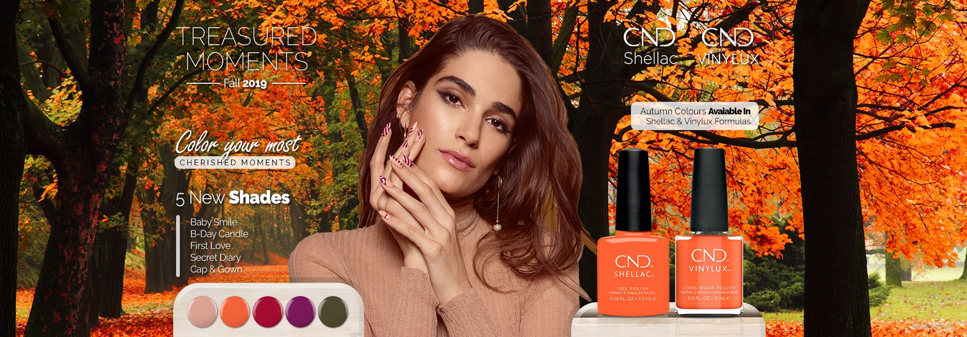 Trans Design Nail Supplies Transdesign.com