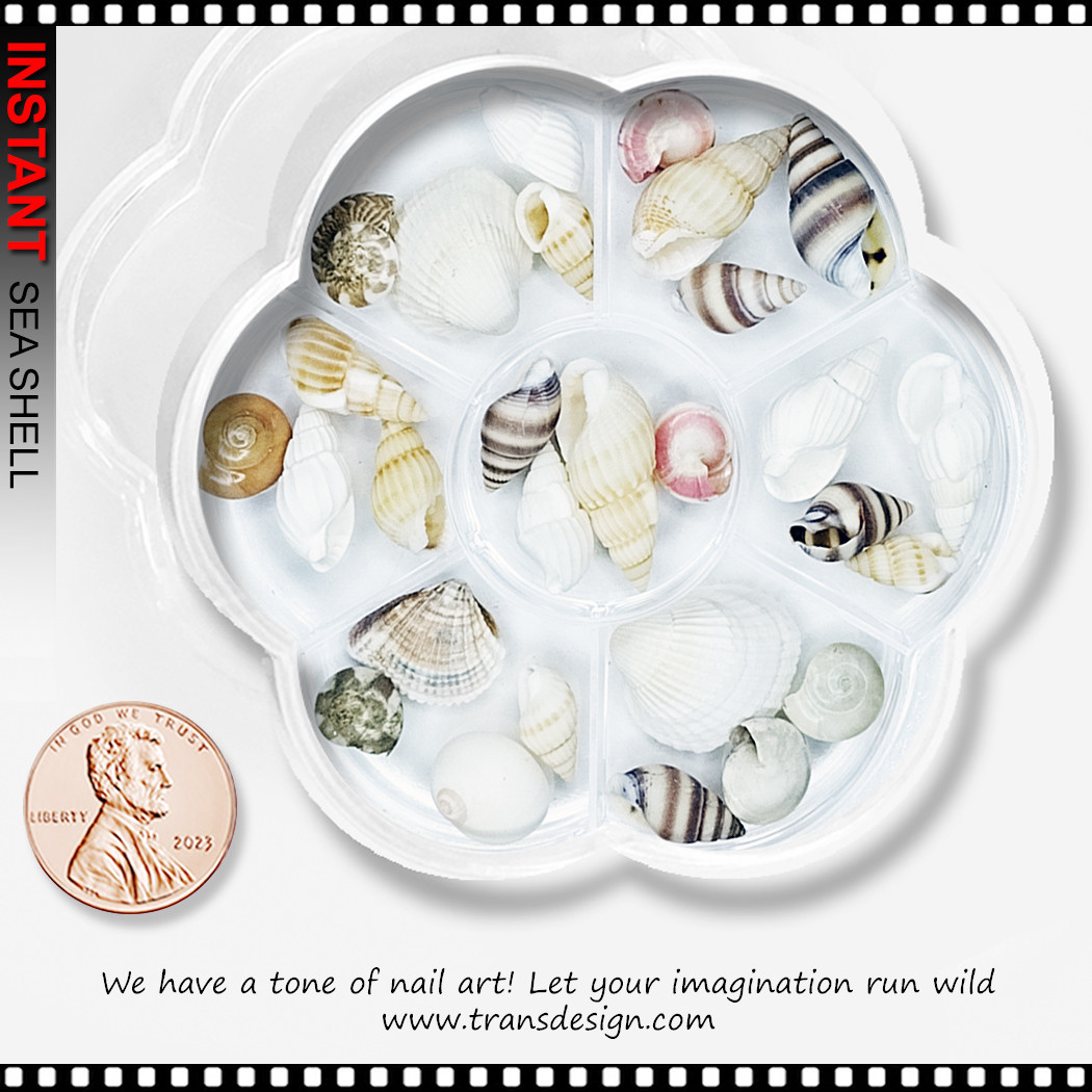 SEA SHELL Artisan-Crafted Sea Shell Beads 28/Case - TDI, Inc
