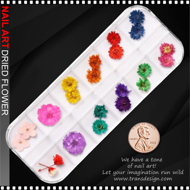 Nail Art DRIED FLOWER Assorted Case #D - TDI, Inc