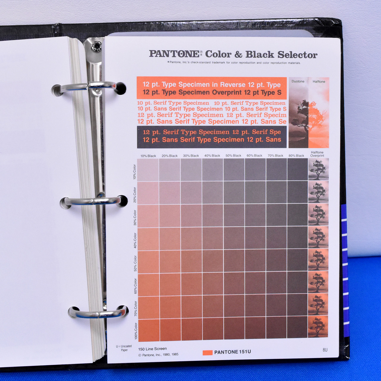 Black Pantone Color Chart