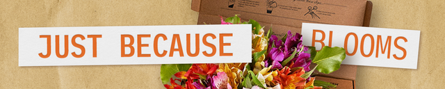 Just Because Farm Fresh Bouquets – Handpicked Blooms to Brighten Their ...