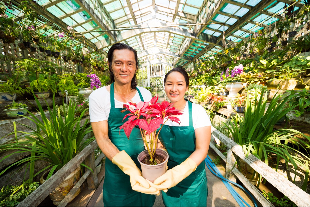 The Secret Ingredient: Why Flower Food is Essential for Lasting Blooms ...