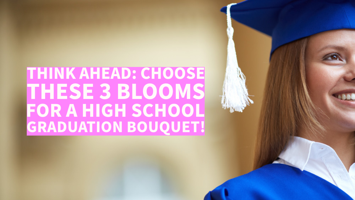 Think Ahead: Choose These 3 Blooms for a High School Graduation Bouquet ...