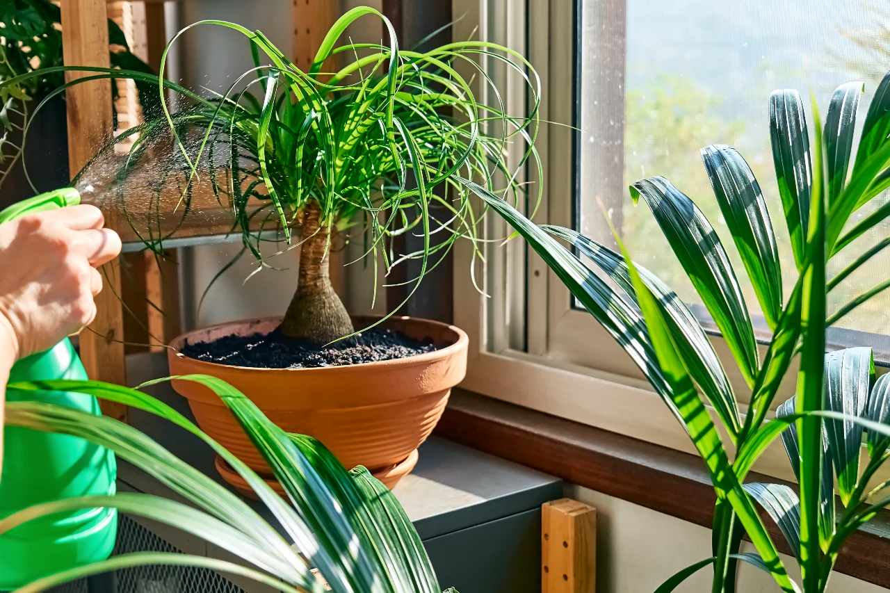 The Ultimate Guide to Indoor Plant Lighting for Thriving Houseplants ...