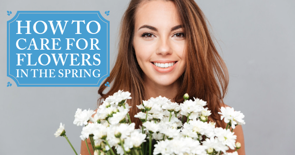 How to Care for Flowers in the Spring - Arizona Florist • Your Local ...