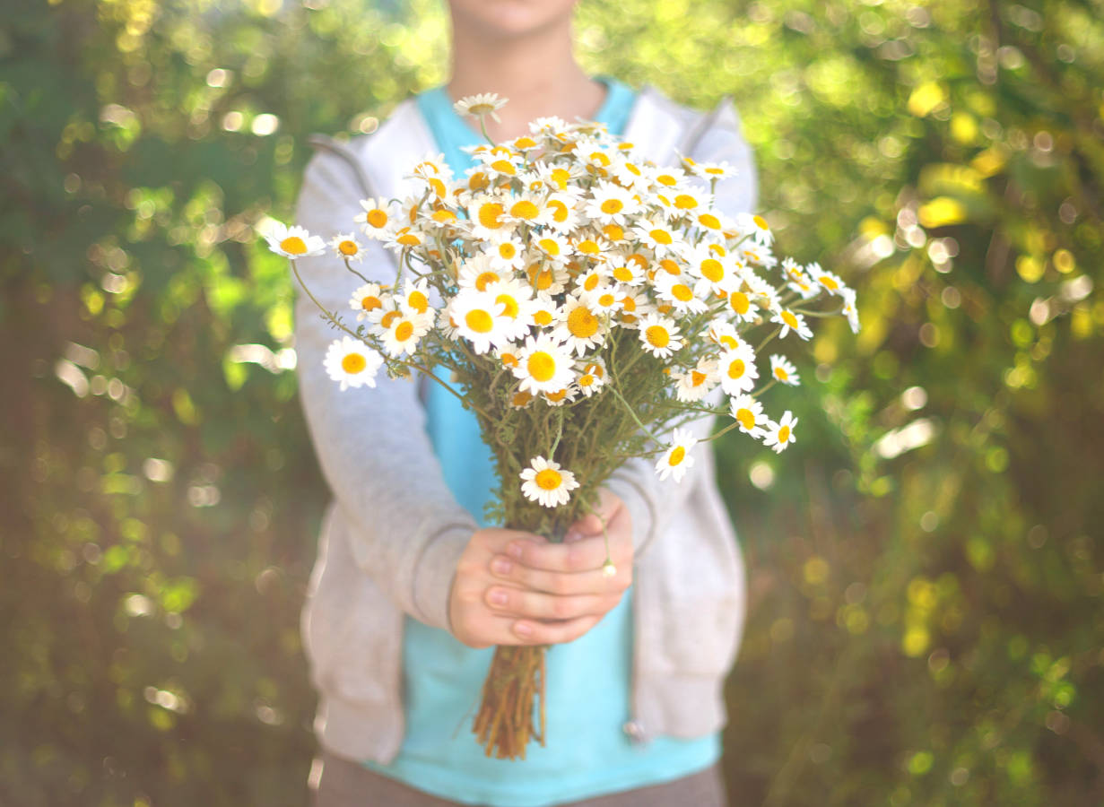 The Flower Movement Week 2023 at Arizona Flower Market! - Arizona ...