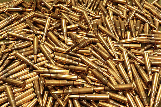 Which Ammo Should I Use For Plinking - 80 Percent Arms