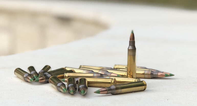 M855 - Ballistics - 80 Percent Arms