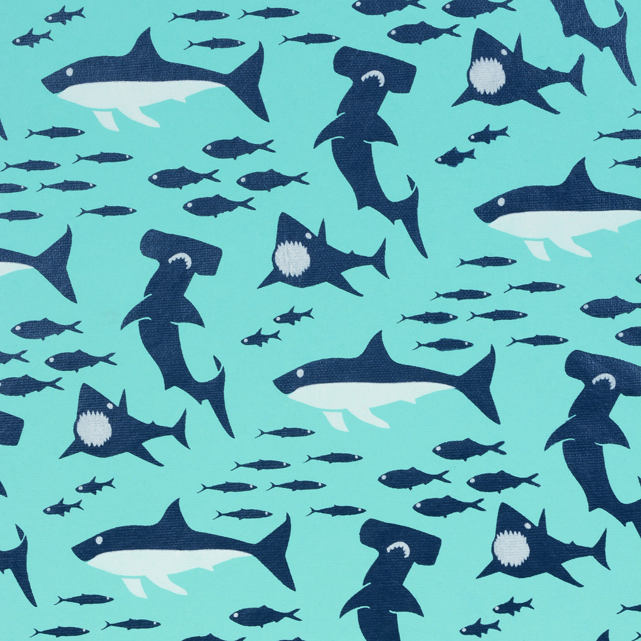 Sharks - Turquoise, Dark Blue/White Gift Wrap - Midori Retail