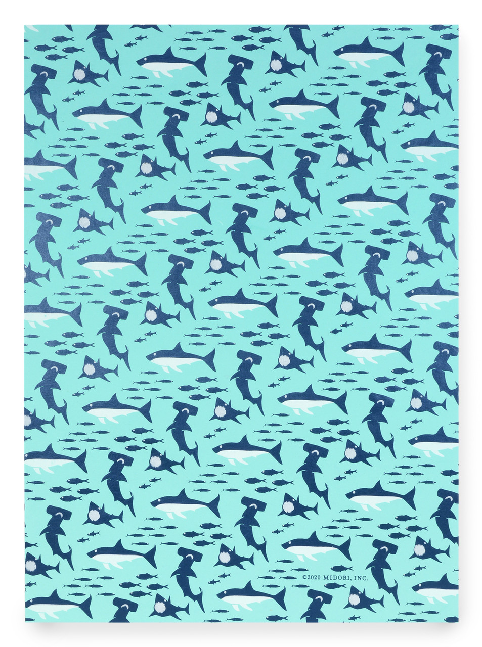 Sharks - Turquoise, Dark Blue/White Gift Wrap - Midori Retail