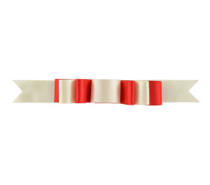 Triple Layer Bow Topper | Two color Ribbon Gift Topper