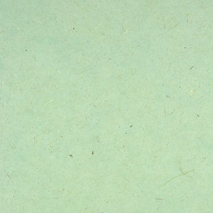 Solid Sage Gift Wrap - Midori Retail