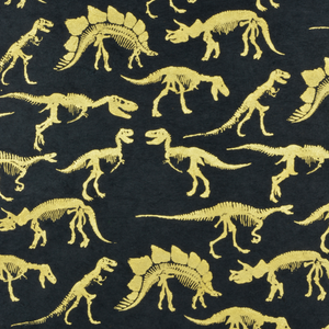 Dinosaurs Gift Wrap - Midori Retail