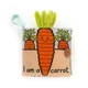 Carrot Book - Official Jellycat