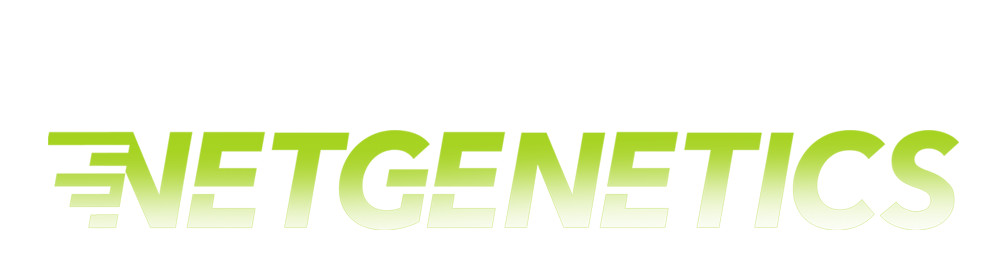 Juniper MX304 router advanced features like SRv6, BGP FlowSpec, MPLS ...