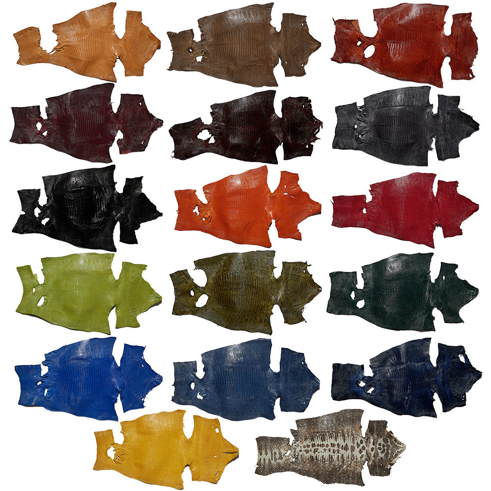 Teju Lizard Skin, Exotic Leather - Buckleguy.com