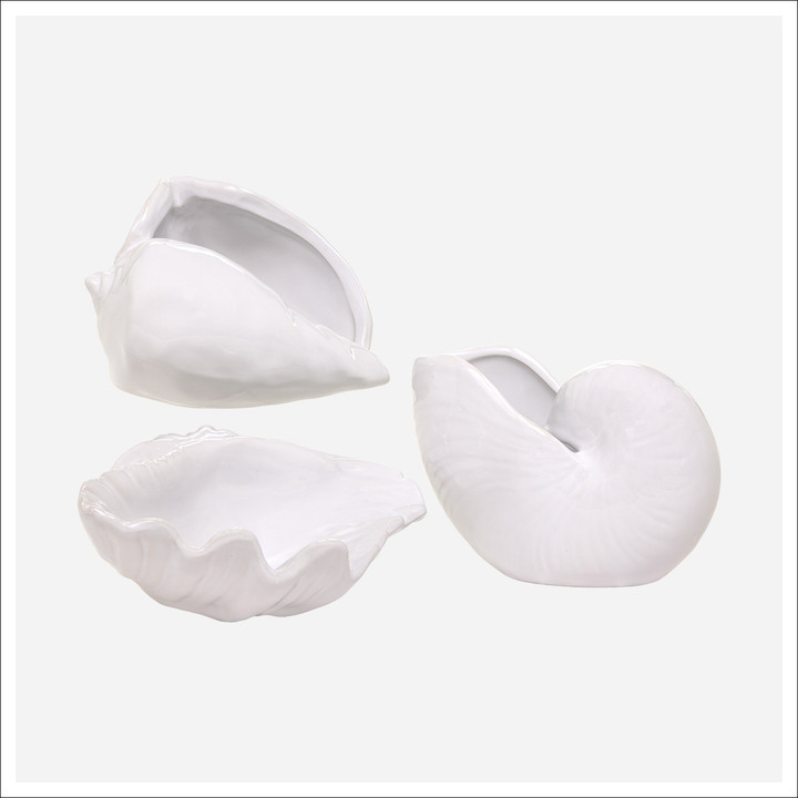 Missouri Shells White Ceramic | Coastal Shell Decor | Wholesale Home ...