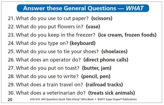 WH Questions Quick Take Along – Practice Language Skills