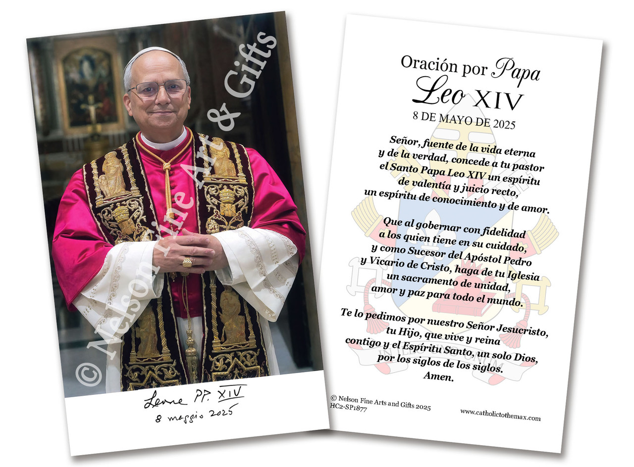 Spanish Pope Leo XIV Official Portrait 3x5 Holy Cards - Catholic to the ...