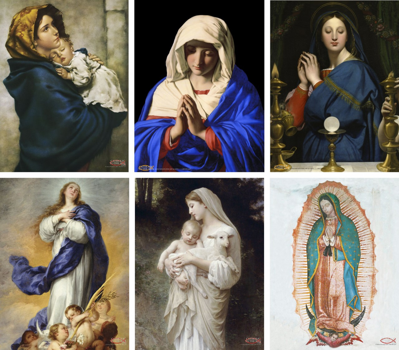 Marian Poster Value Pack - Catholic to the Max - Online Catholic Store