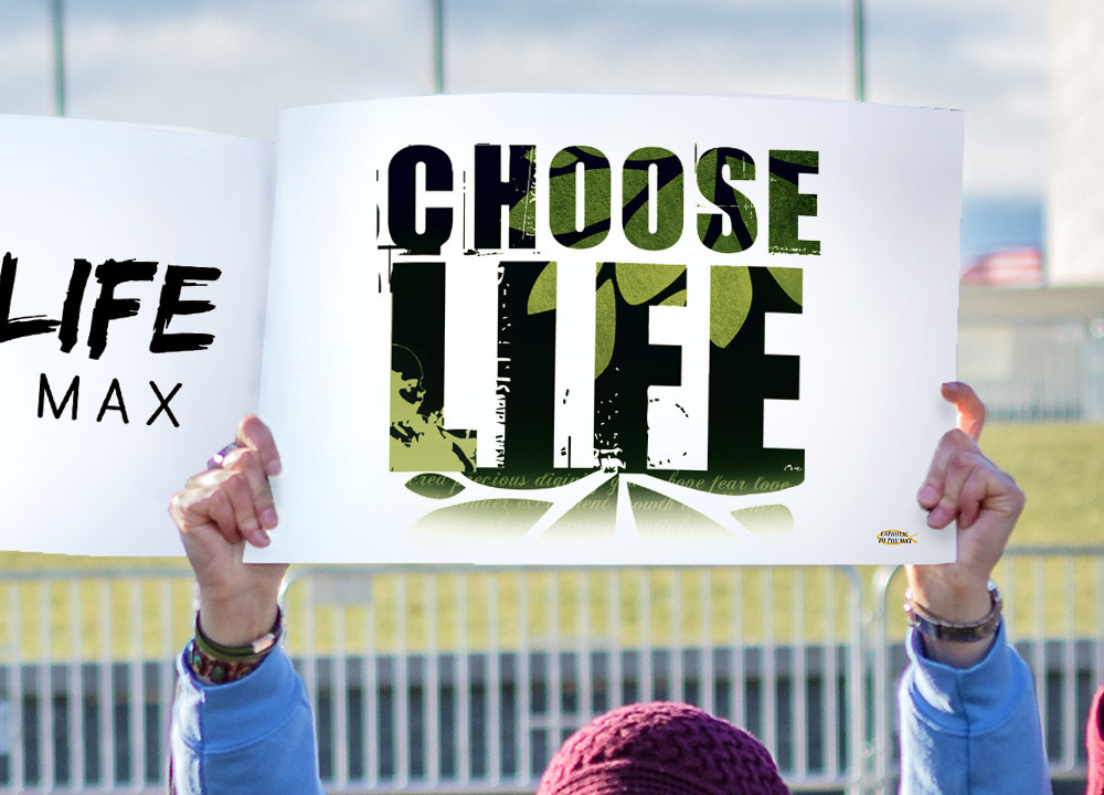 Choose Life Waterproof Signs (Pack of 12) - Catholic to the Max ...