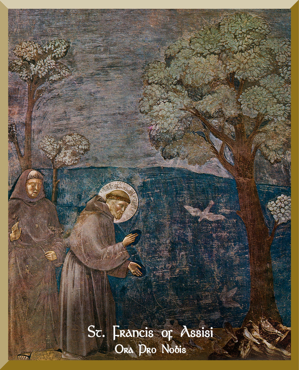 St. Francis of Assisi Wall Plaque 2 - Catholic to the Max - Online ...