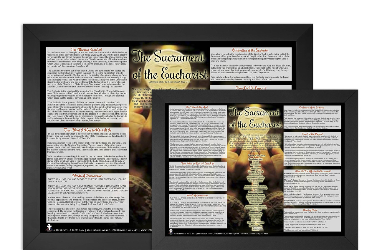 The Mass & Eucharist Explained Poster (Classic) - Catholic to the Max ...