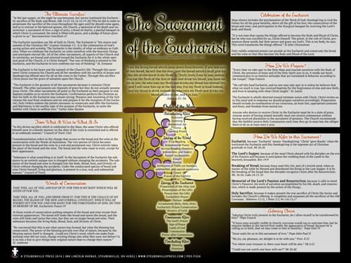 The Eucharist Explained Poster - Catholic to the Max - Online Catholic ...